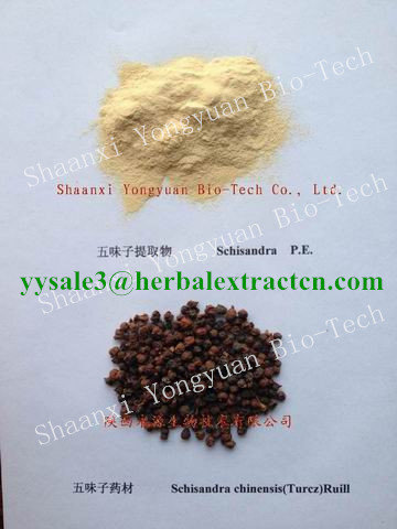 Schisandra chinensis Extract, Schisandrins 2%,5%,9%,  CAS No.: 7432-28-2, Chinese manufacturer, Shaanxi Yongyuan Bio