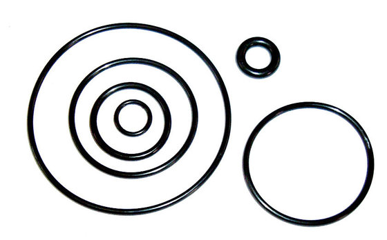 Oil-Proof Customized Colourful Rubber Viton O-Ring , Viton O-Ring, Viton Orings For Oil Seals