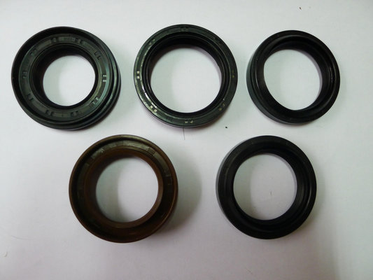 Heat Resistance TB / TC BH3673 Viton Oil Seal For Excavator , Machinery