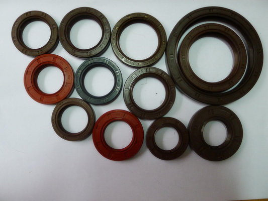 Vulcanization CR / Viton Oil Seal Double Lips , Single Spring