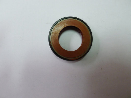 Transmission TGR Viton Oil Seal , High Quality Rubber Products , TC OIL SEAL