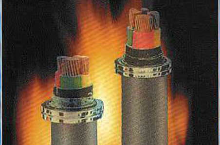 IEC60332 cuivrent la tension évaluée par câbles ignifuges souterrains isolée par XLPE 300V de noyau