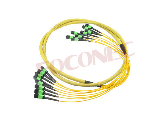 La corde de correction optique de fibre de MPO, usine Pré-a terminé l'avance de correction de tronc