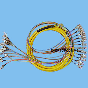 12 cores Fiber Optic Patch Cord