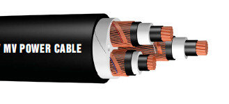 câble électrique extérieur externe de câble à haute tension de gaine de PVC 6KV/10KV