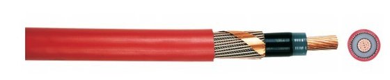 Bas câble engainé par InsulatedPVC du câble XLPE de tension de conducteur de cuivre rouge