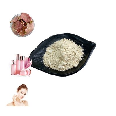 Anti Mutation Cosmetic Raw Material Pomegranate Extract 40% Ellagic Acid