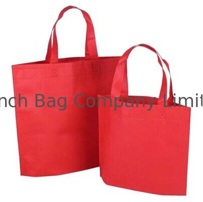 PP Non Woven Bag Heat Sealed Handle With Printing By Silk Screen , Passed TUV