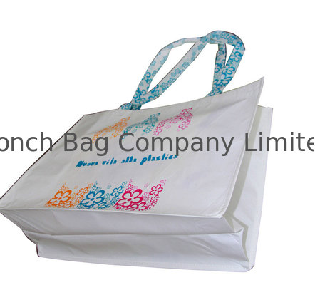 Customized PP Woven Shopping Bags With Nylon Webbing Handle reusable grocery bags