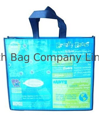 Green PP Woven Shopping Bag