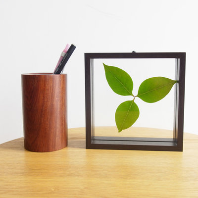 Modern Style Double Sided Glass Photo Frame Flower Plant Portrait Display Frame Holder molduras para fotos