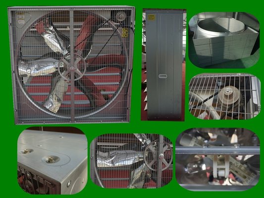 Chicken House Fan‏