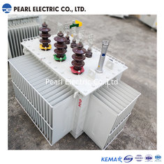 Distribution Transformers Up to 3000 KVA from 50 KVA