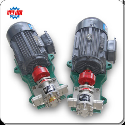 KCB stainless steel food grade peanut bean oil transfer gear pump
