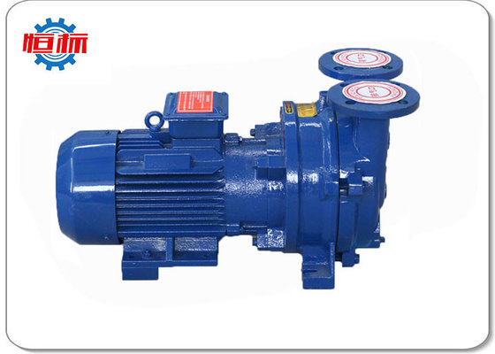 2BV Water Circulation Copper Motor Vacuum Pump Electric Vacuum Pump