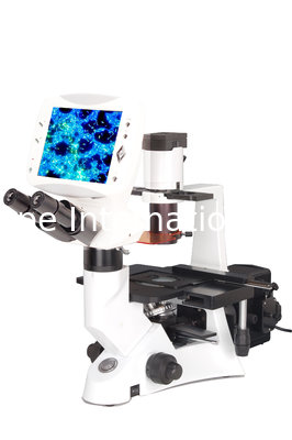 China 8 Inches TFT Screen Compound Digital LCD Inverted Fluorescence Microscope factory