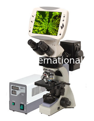 China 5 Mega Pixels Compound Digital LCD Fluorescence Microscope With 8 Inches TFT Screen exporter