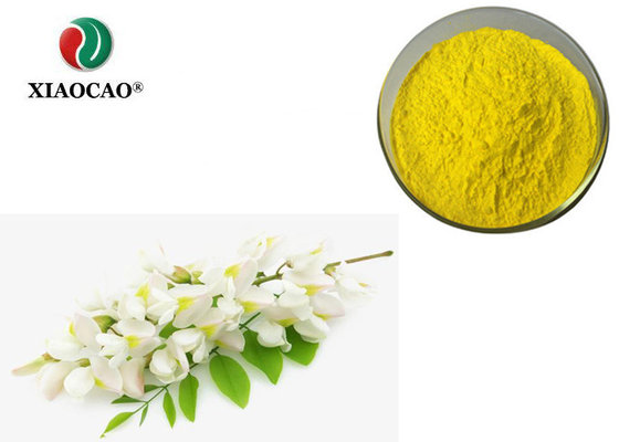 Sophora Japonica Natural Botanical Extracts Quercetin 95% / 98%