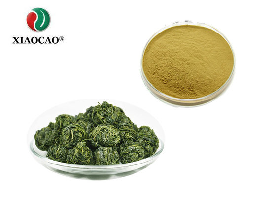 Gynostemma Pentaphyllum Natural Botanical Extracts For Regular Blood Pressure