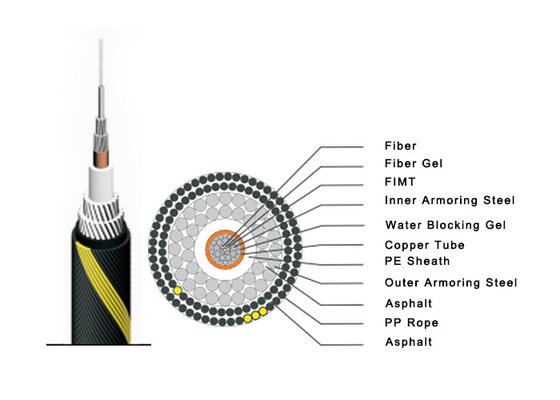 Submarine Custom Fiber Optic Cables Maximum 5000 Meters Water Depth Unrepeatered