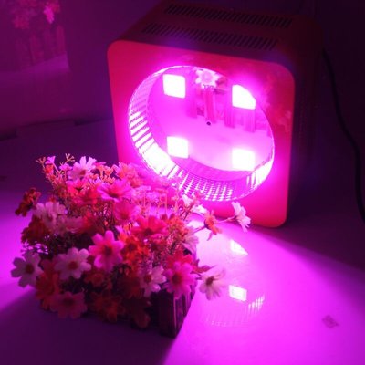 Patent Product High Power LED Plant Grow Light 300w 8 Bands Full Spectrum