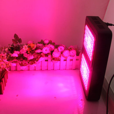 Module Led Growing Lights 300W Hydroponic Greenhouse Use 4000 - 5000lm