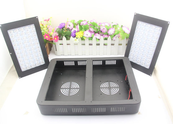Module Led Growing Lights 300W Hydroponic Greenhouse Use 4000 - 5000lm
