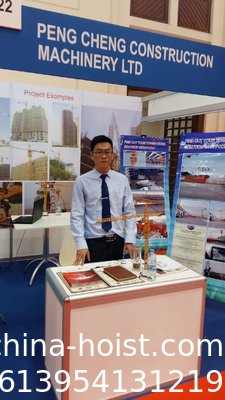 Self Erecting Hammer Head Tower Crane 10 ton 65 m Boom Building supplier