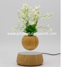Magnetic Levitation Plant Pots, Potted Plants, AIR BONSAI pot tree