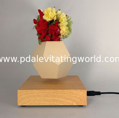 hotsale magnetic levitate floating bottom air bonsai pot planter tree