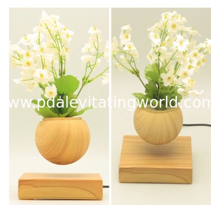 magnetic levitation vase air bonsai ,floating plant flowerpot