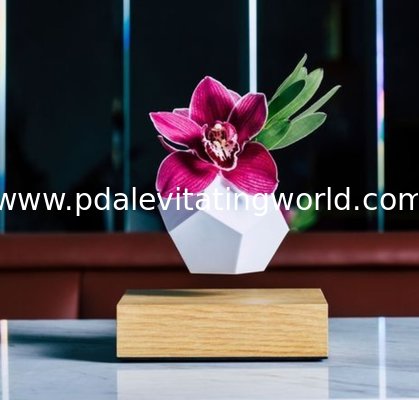 Magnetic levitation Plant Pot & Base Creative Potted Plants flower plant pot