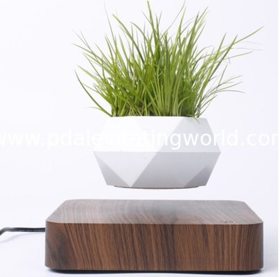 new hotsale magnetic levitation floating bottom air bonsai plant tree pot