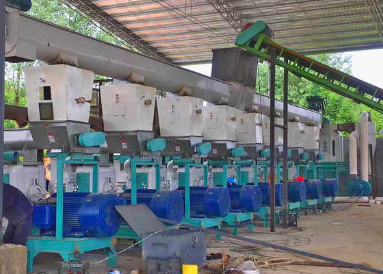 5-10T/H Complete Sawdust Pellet Plant Wood Pellet Production Line For Sale