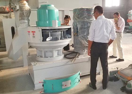High Performance Industrial Pellet Mill Equipment Vertical Ring Die Type