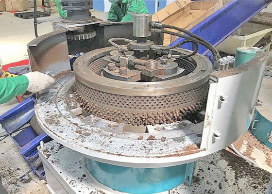 High Performance Industrial Pellet Mill Equipment Vertical Ring Die Type