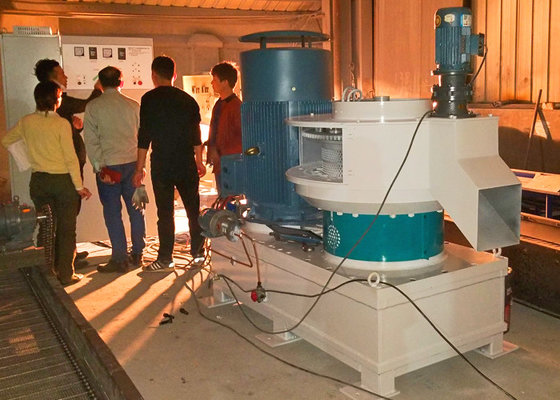 Sunflower Husk Vertical Pellet Mill/Biomass Pellet Making Machne