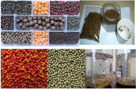 Floating Fish Feed SS 250kg/H Twin Screw Extruder Production Line