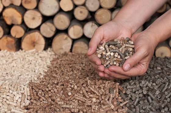 Straw Coconut Husk 2T/H 3T/H Wood Pellet Production Line