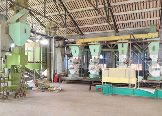 EN DIN A Plus 1 Ton 10 Ton Per Hour Complete Wood Pellet Plant