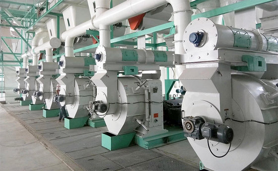 sunflower olive pulp 5T/H 6T/H Wood Pellet Mill Machine
