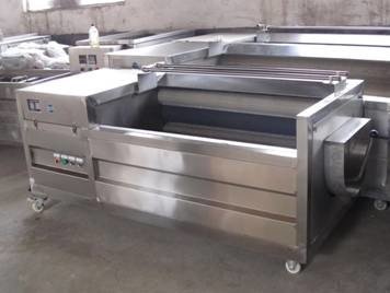 Potato Carrot Lemon 800-5000kg/H Fruit Washing Machine Ginger Vegetable Washer