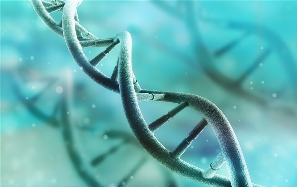 quality Peptide Ingredients factory