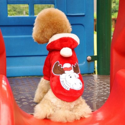 Custom made Cotton and polyester Christmas dog clothes costume for Poodles