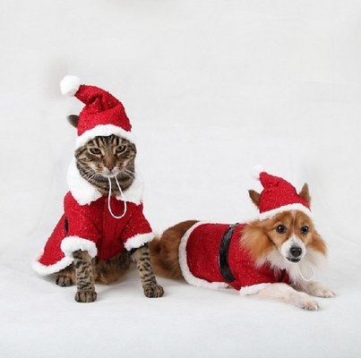 Red Christmas Dog Clothes Hoodies Winter Pet Santa Costumes Fabulous