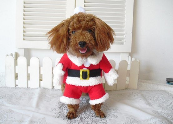 Red Christmas dog clothes , large dog christmas costumes XS S M