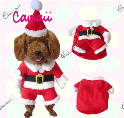 Yorkshire Poodle Christmas Extra Small Dog Clothes For Girls , Santa Suit For Dogs