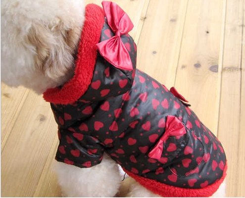 Autumn , Winter Cotton Mid-Size Medium Dog Clothes for Puppys Bichon Frise