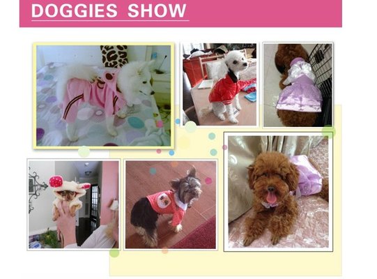 Eco-Friendly coffee Medium Dog Clothes for Cold winter Pet Products in M