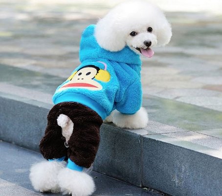 Protective Bichon Frise Dog Hooded Sweatshirts clothes xxx small , Paul Frank pattern